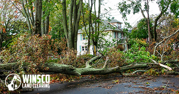 Storm Clean Up Services | Winsco Land Clearing
